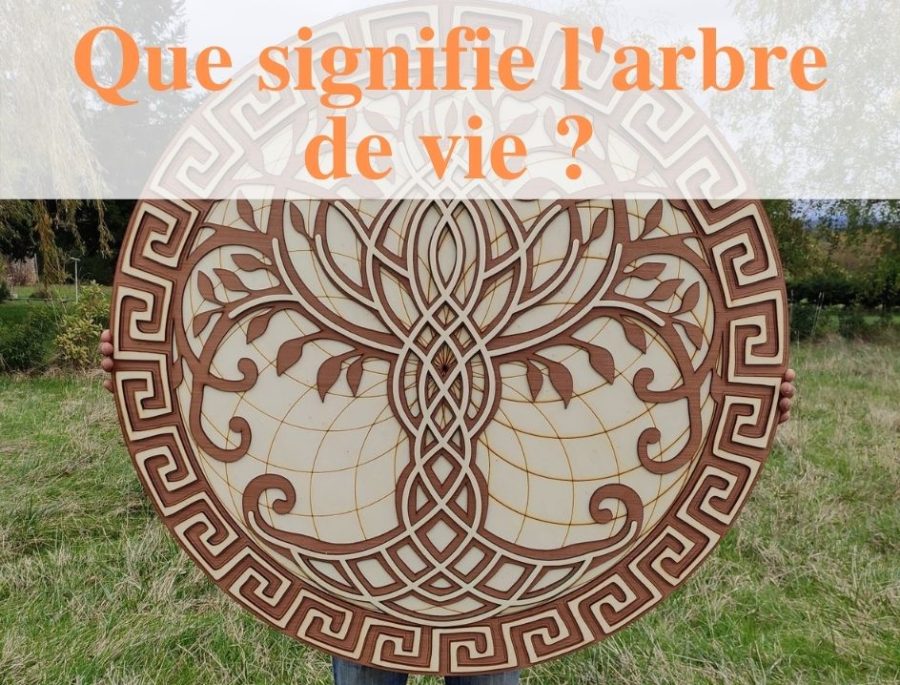 Signification de l'Arbre de Vie : Un Symbole Puissant