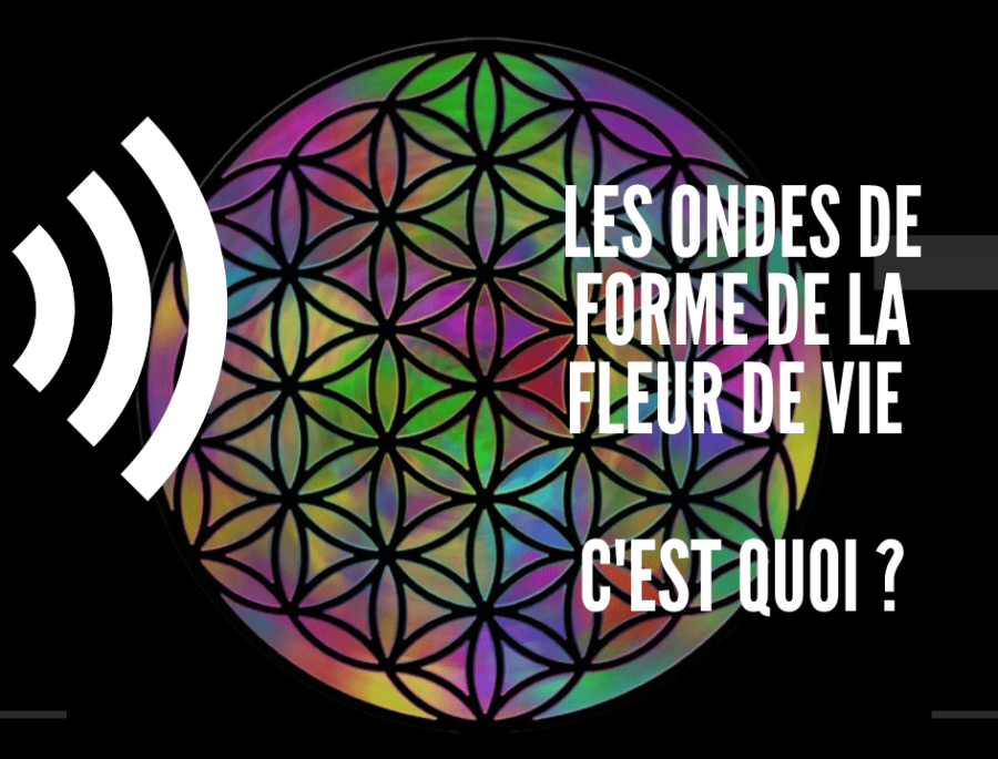 Comprendre l'onde de forme de la fleur de vie - Gaïamamart